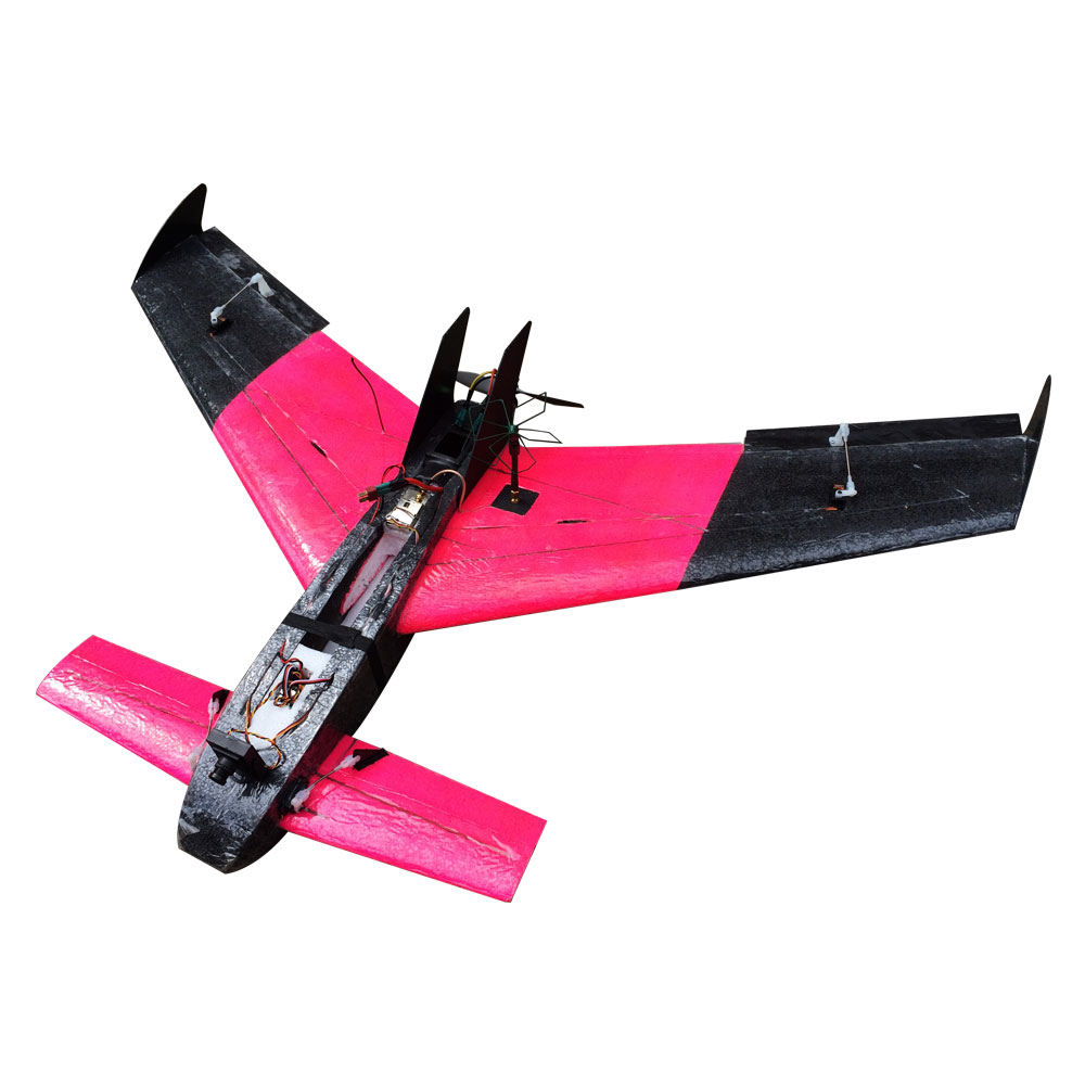 VAS Pegasus 39" Canard airplane